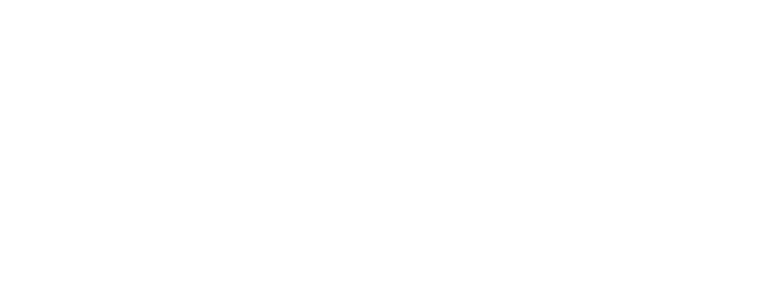 ROBERT F. SPETZLER,MD - EANS2026 Hamburg Congress